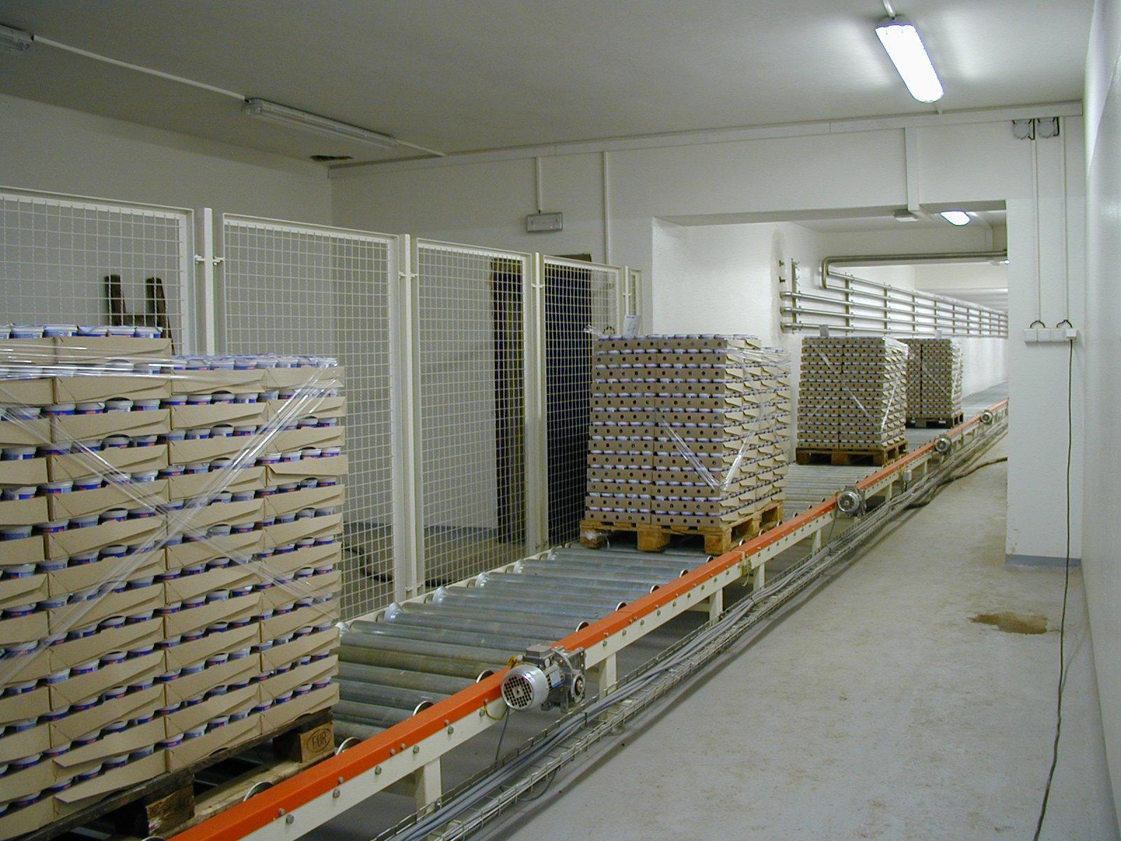 Pallet Conveyors - TMT